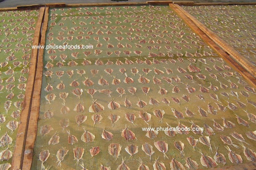 Dried-Seasoned-Open-Cut-Yellow-Stripe-Trevally-Fish